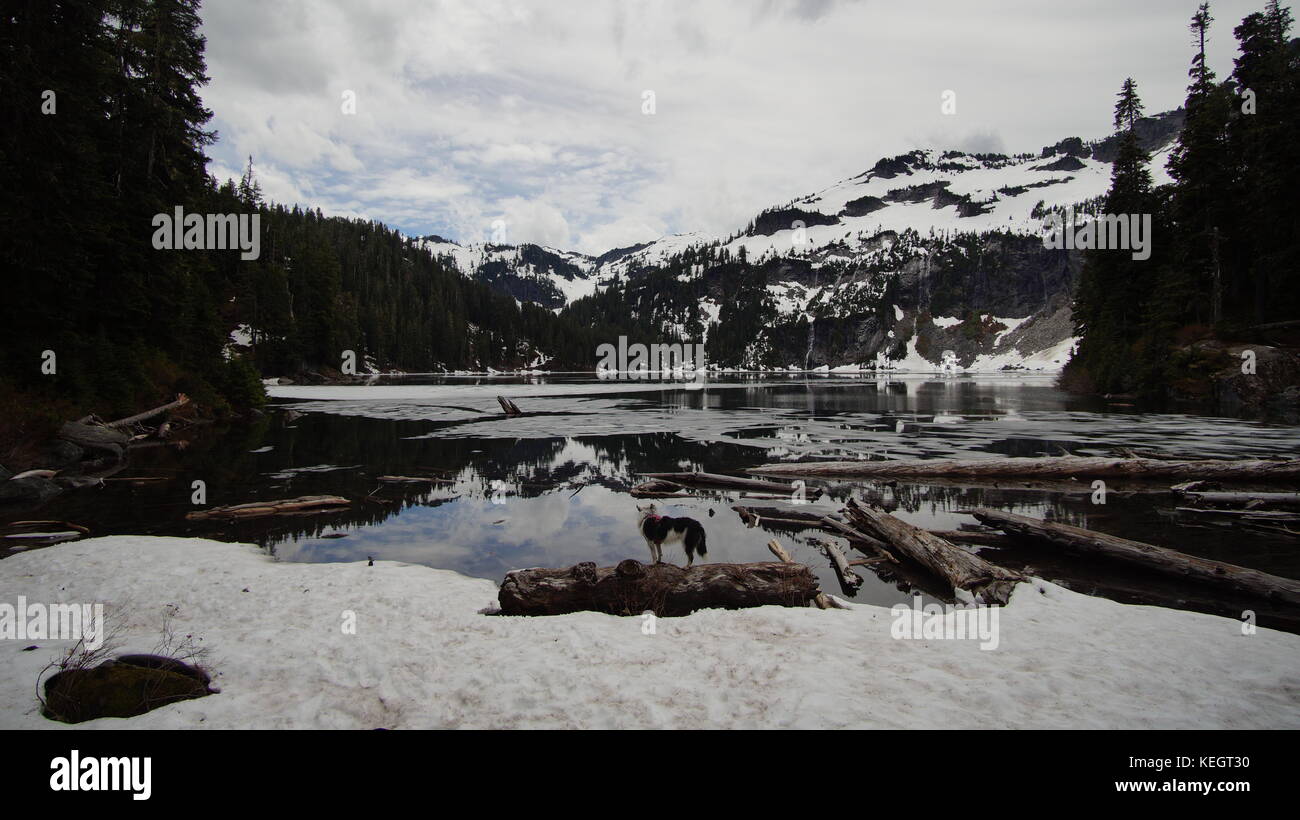 Exploring Washington State, The Great Pacific Northwest Stock Photo - Alamy