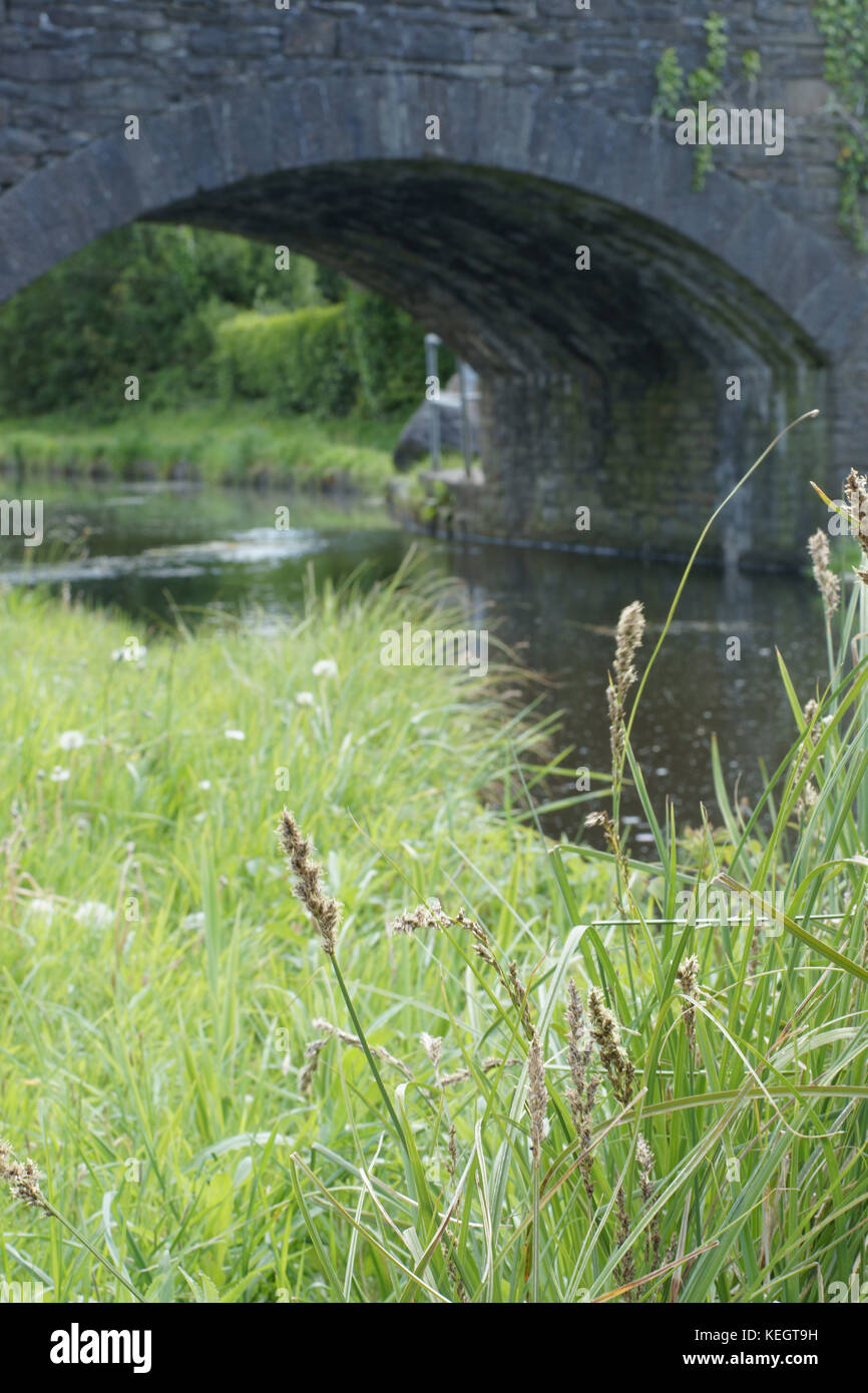 The Neath Canal High Resolution Stock Photography and Images - Alamy