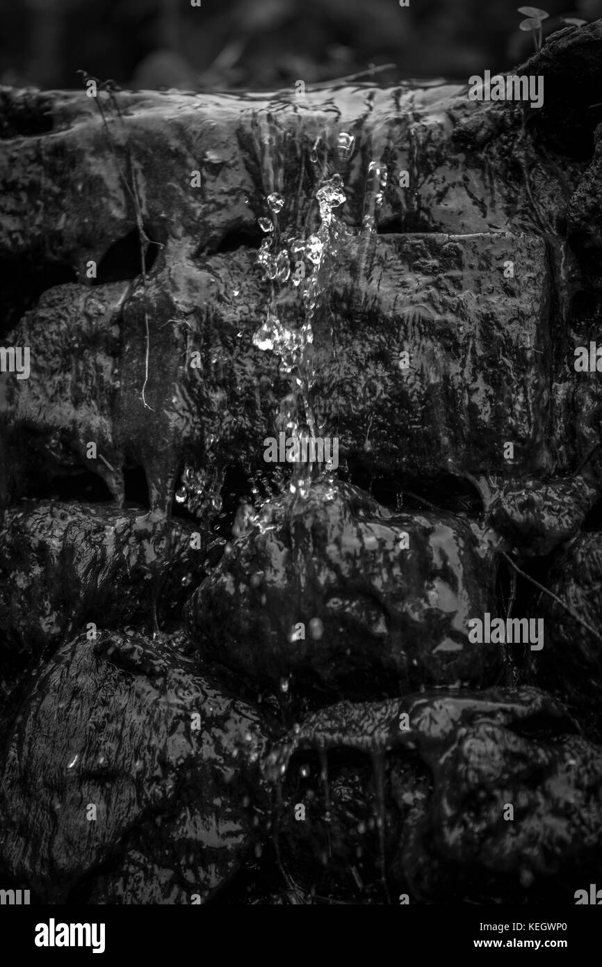 A gentrle stream of natural spring water Stock Photo - Alamy