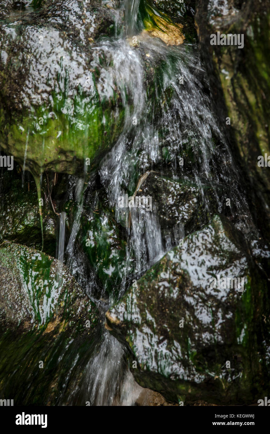 A gentrle stream of natural spring water Stock Photo - Alamy