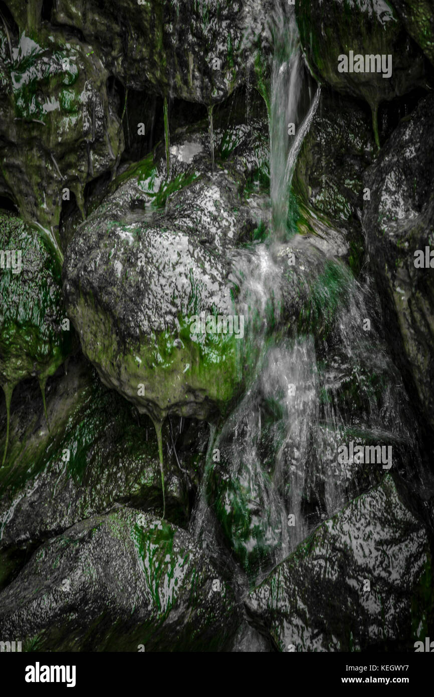 A gentrle stream of natural spring water Stock Photo - Alamy