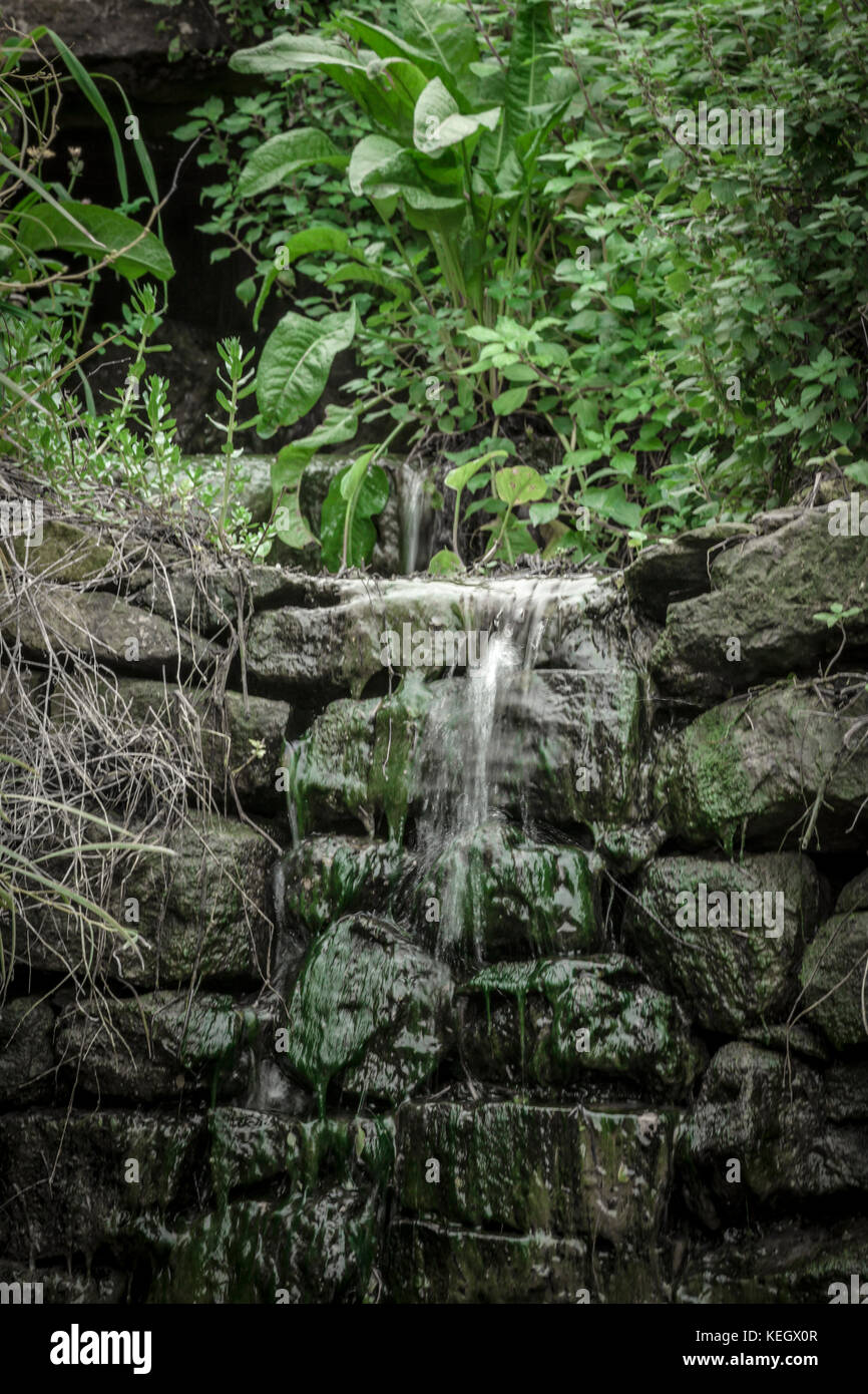 A gentrle stream of natural spring water Stock Photo - Alamy