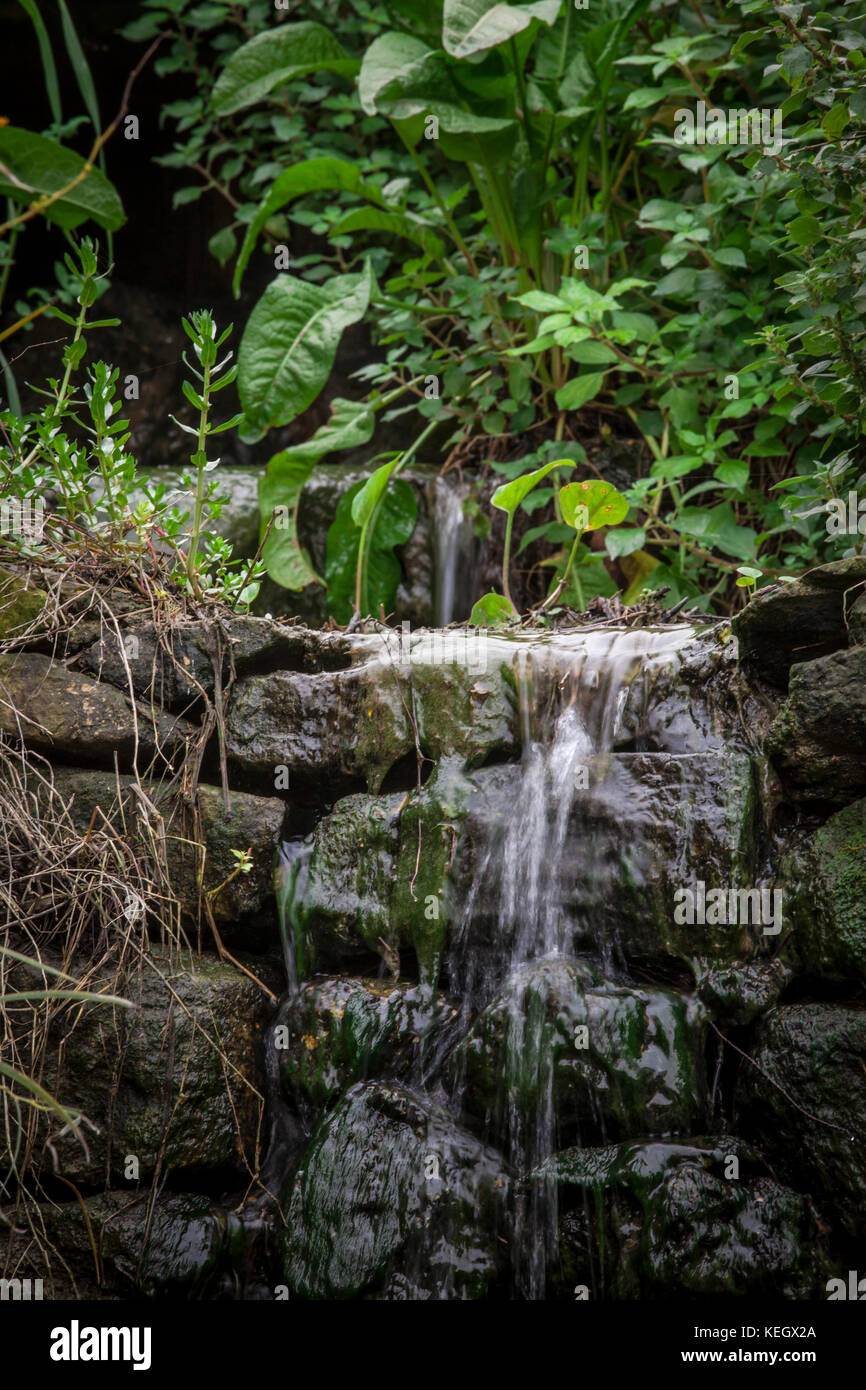 A gentrle stream of natural spring water Stock Photo - Alamy