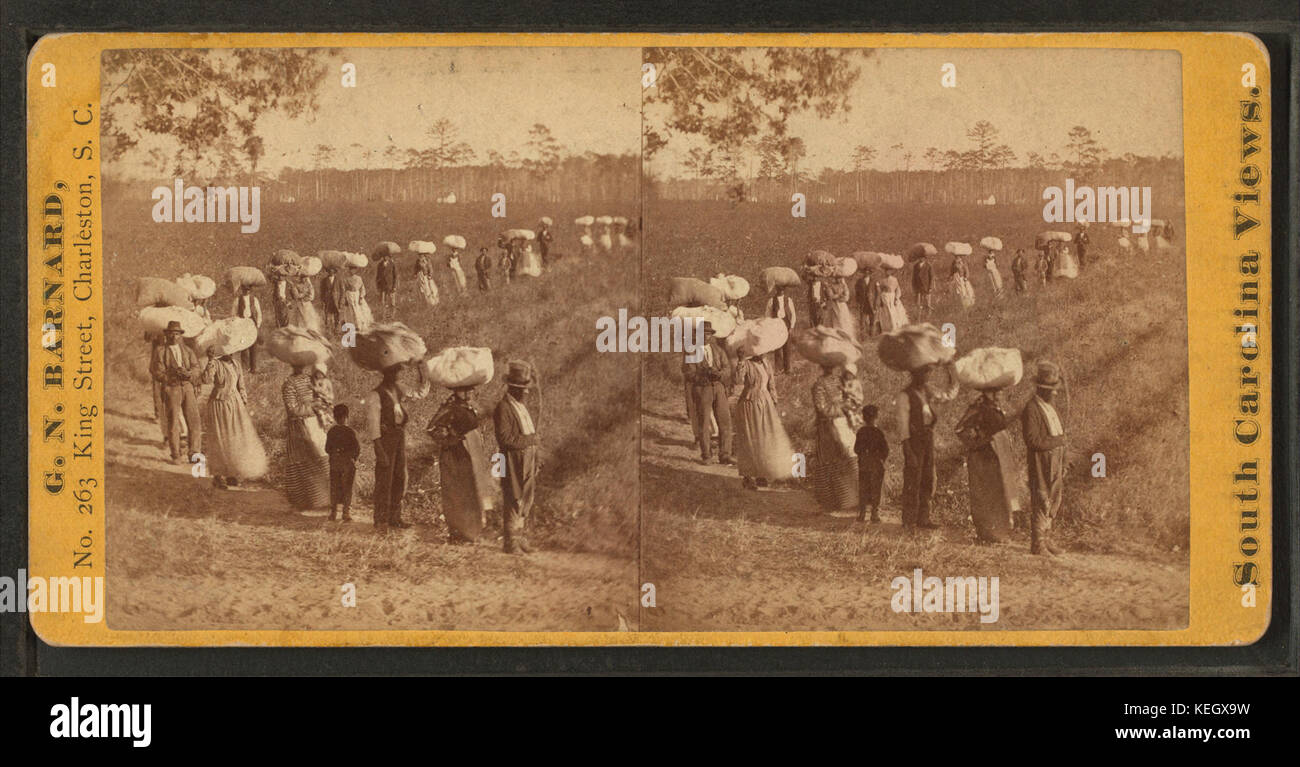 Physical labor during war hi-res stock photography and images - Alamy
