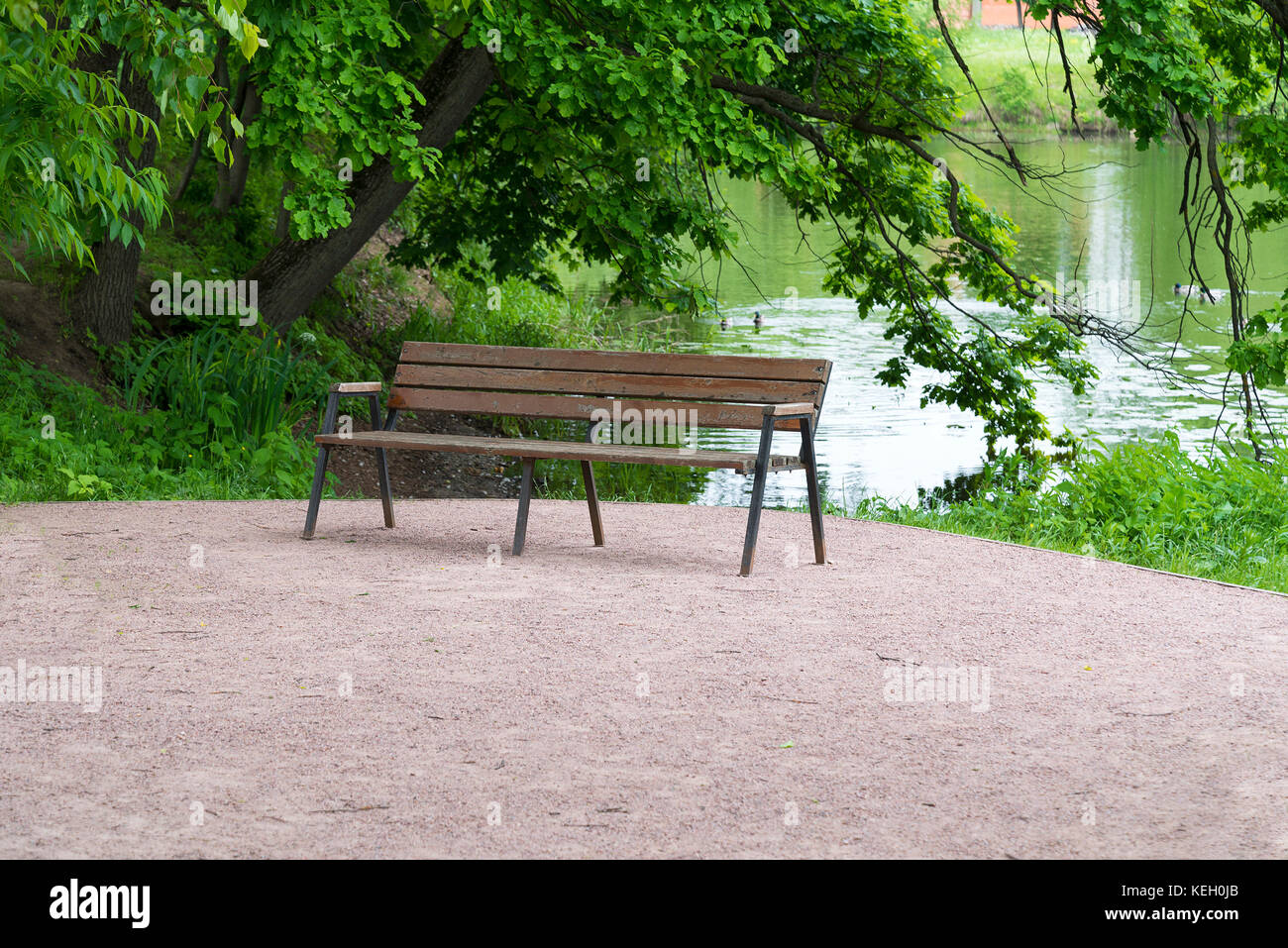 Bench at the track and the river in the Park Stock Photo - Alamy
