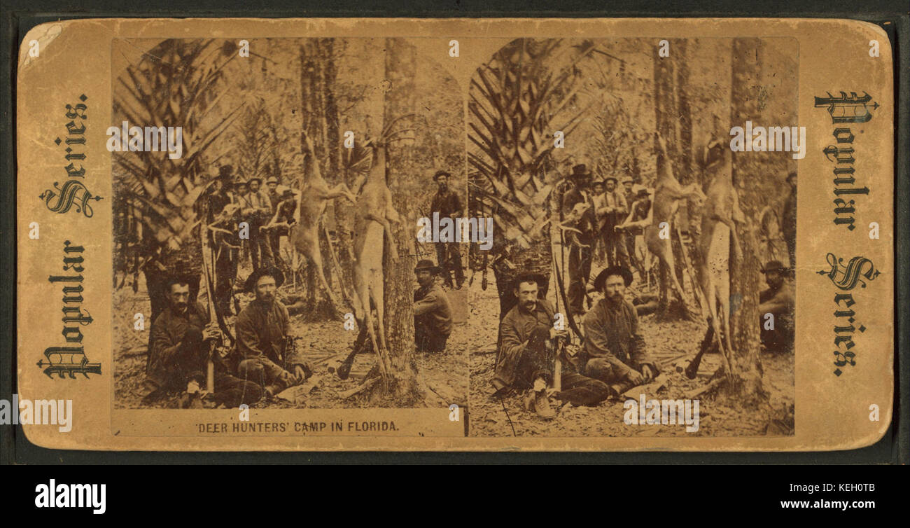 A stereoscopic image of a deer hunters' camp in Florida, showcasing the ...