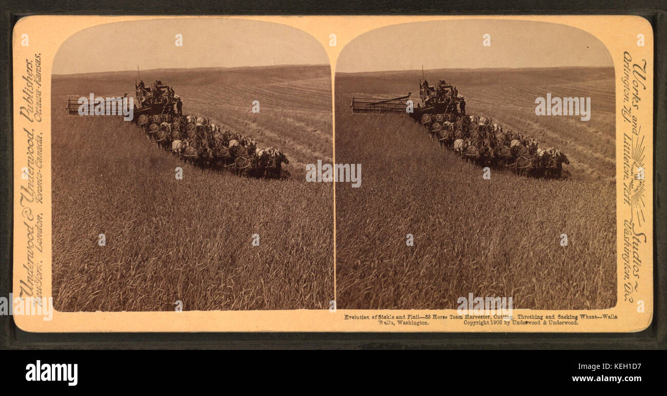 Threshing flail hi-res stock photography and images - Alamy