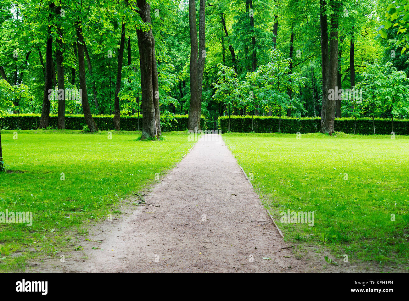 A small clearing with trees, lawn and path in Park Stock Photo - Alamy
