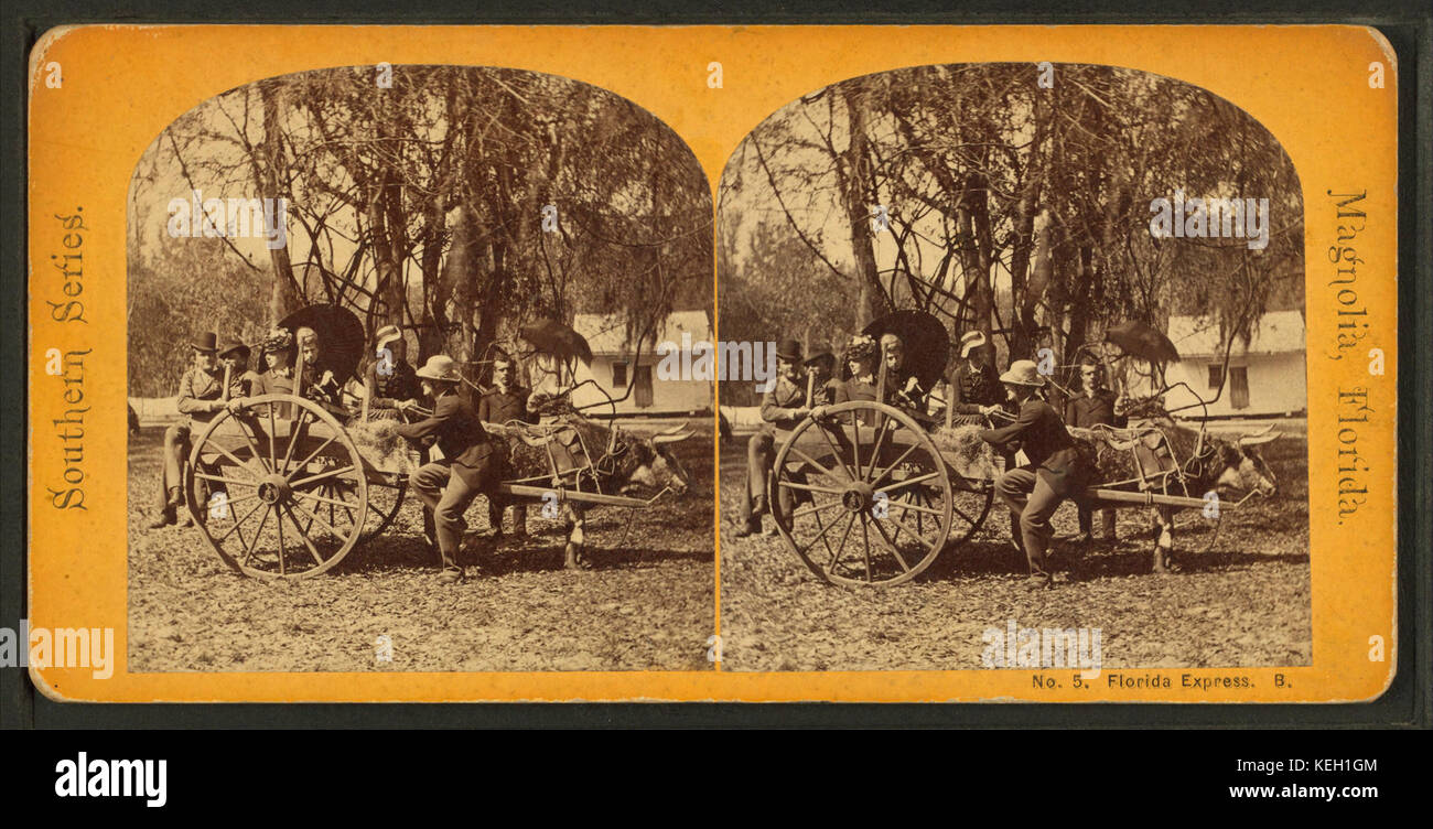 Florida Express, Magnolia, Florida, from Robert N. Dennis collection of ...