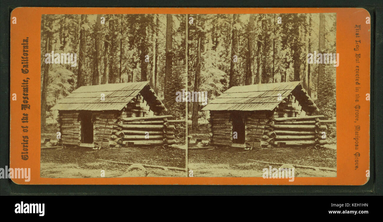 First log hut erected in the grove, Mariposa Grove, by E. & H.T ...