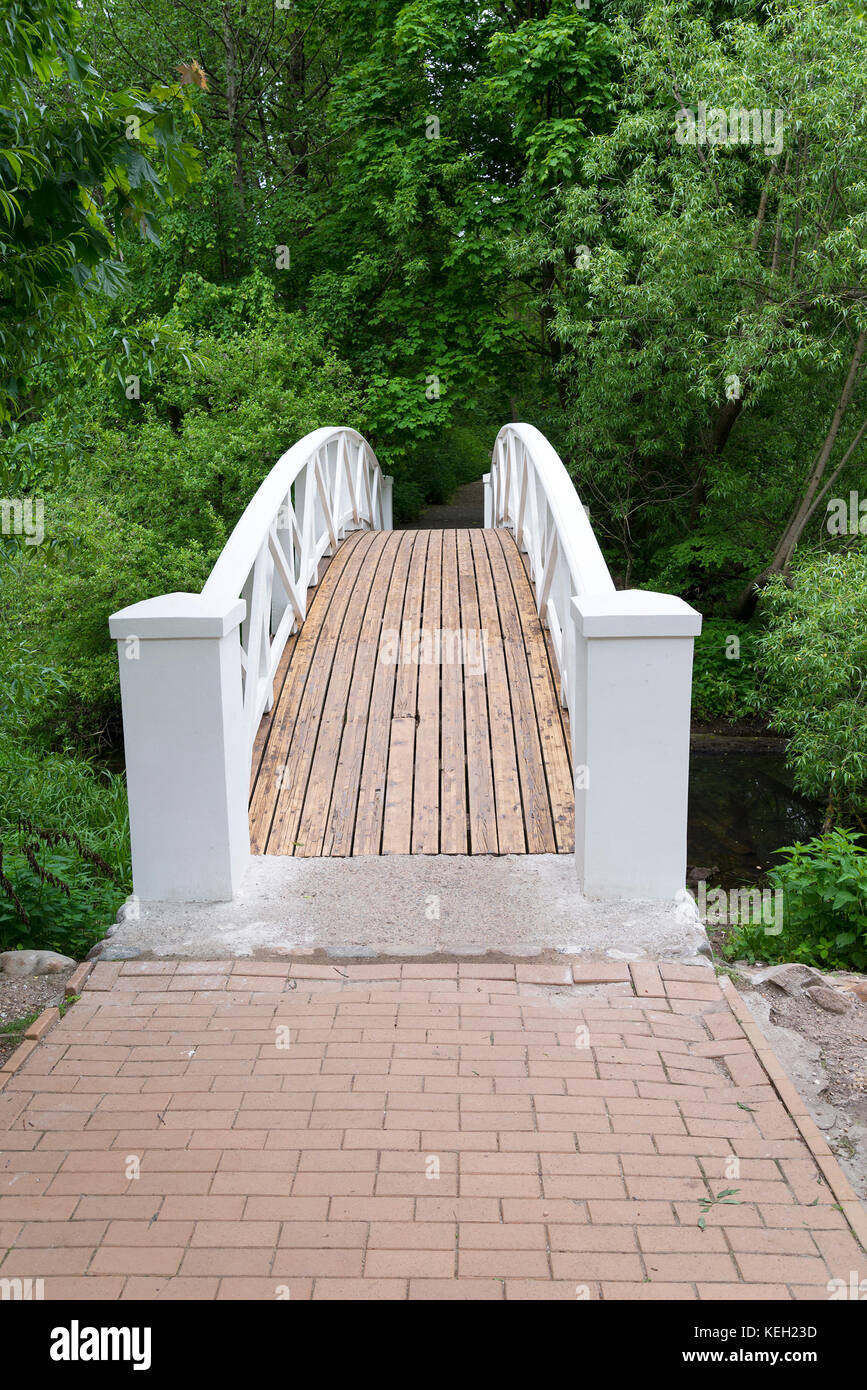 Round wooden bridge over the river in the Park Stock Photo - Alamy