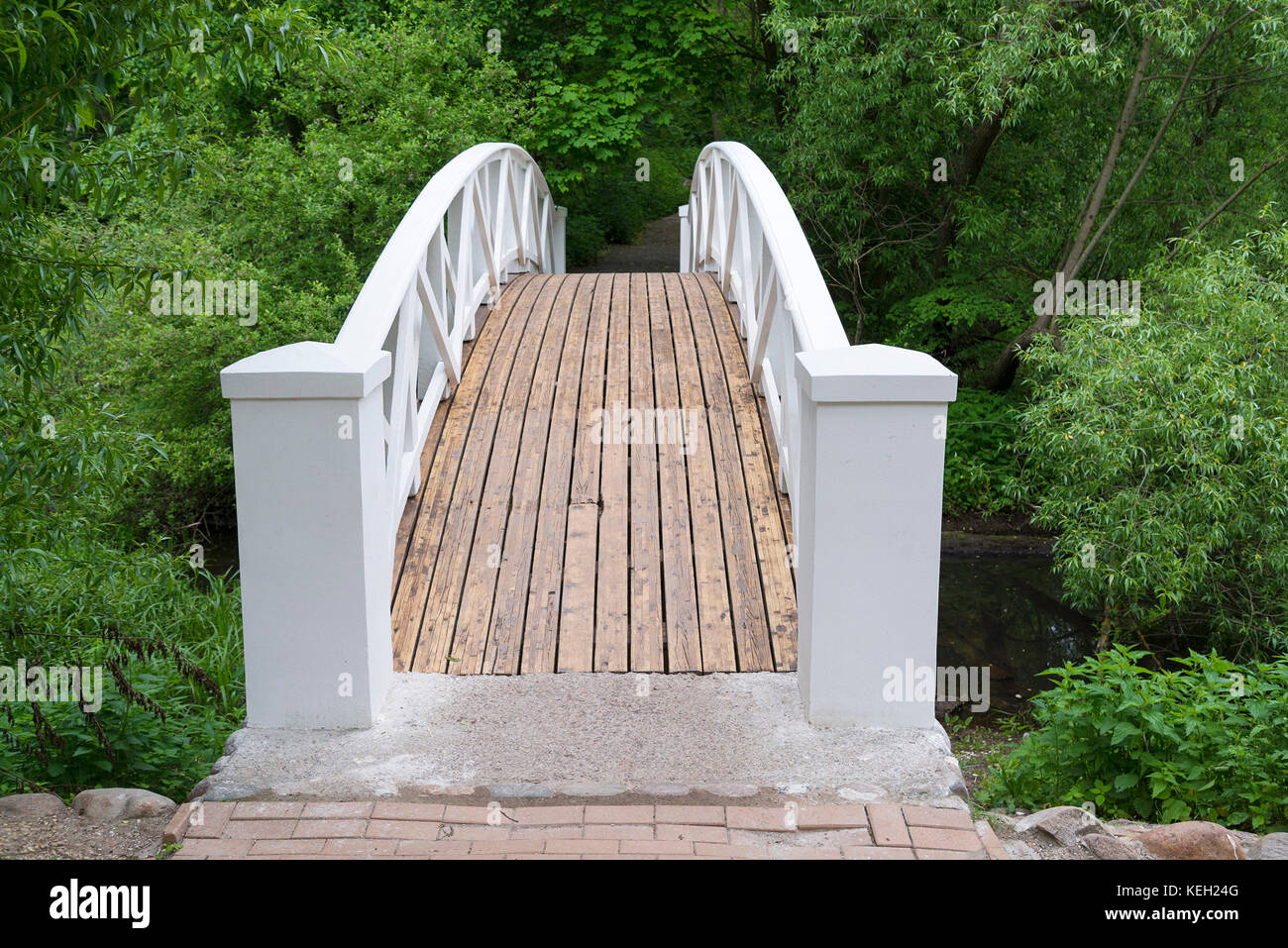 Round wooden bridge over the river in the Park Stock Photo - Alamy