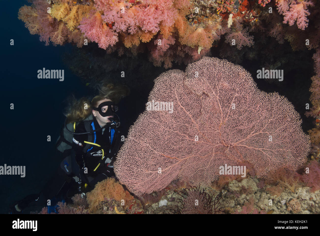 Deep sea diver female hi-res stock photography and images - Alamy