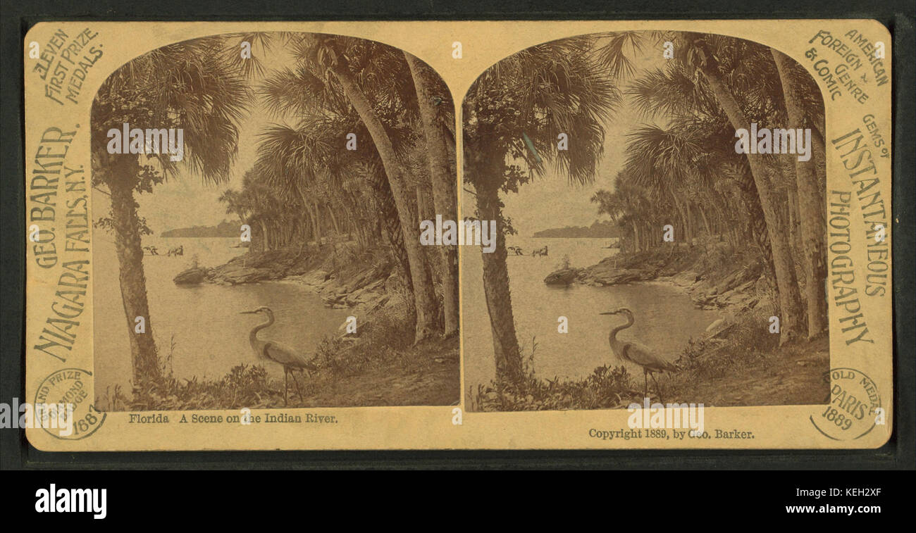 George barker florida hi-res stock photography and images - Alamy