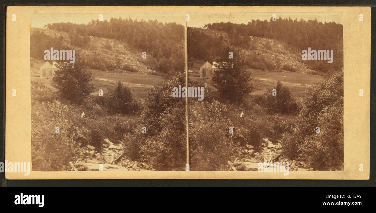 'In Gold Miner’s Glen, Plymouth, Vt.' by Franklin Benjamin Gage depicts ...