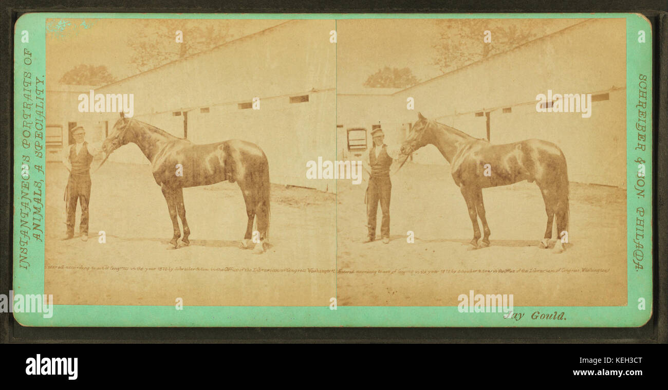 This portrait of Jay Gould, an American railroad magnate, was created ...