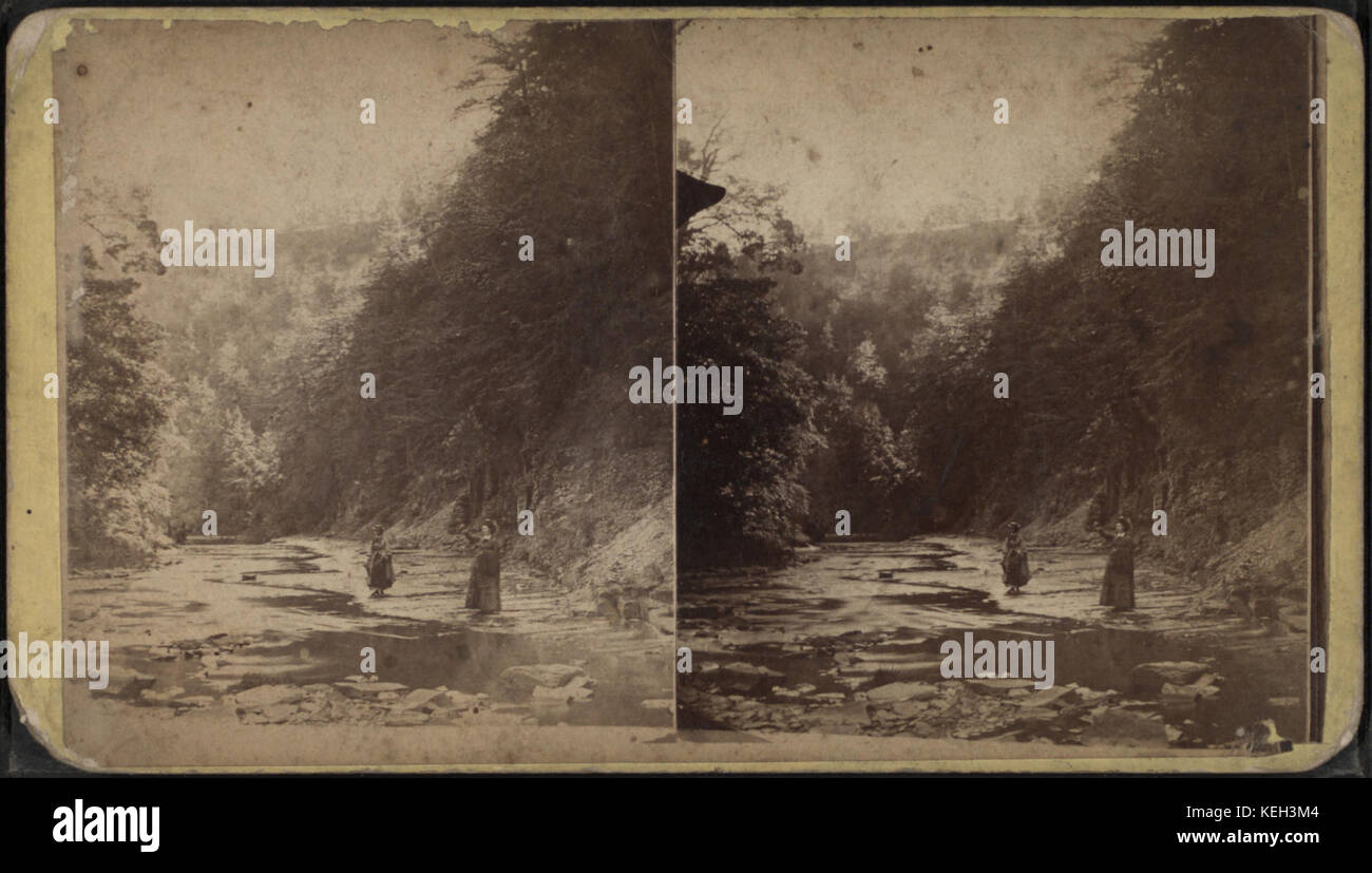 Looking down Lower Ravine, 4th view, by C. M. Marsh Stock Photo - Alamy