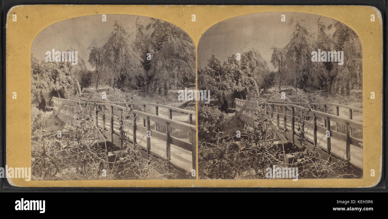 The Luna Island bridge, captured in a stereoscopic view, shows a ...