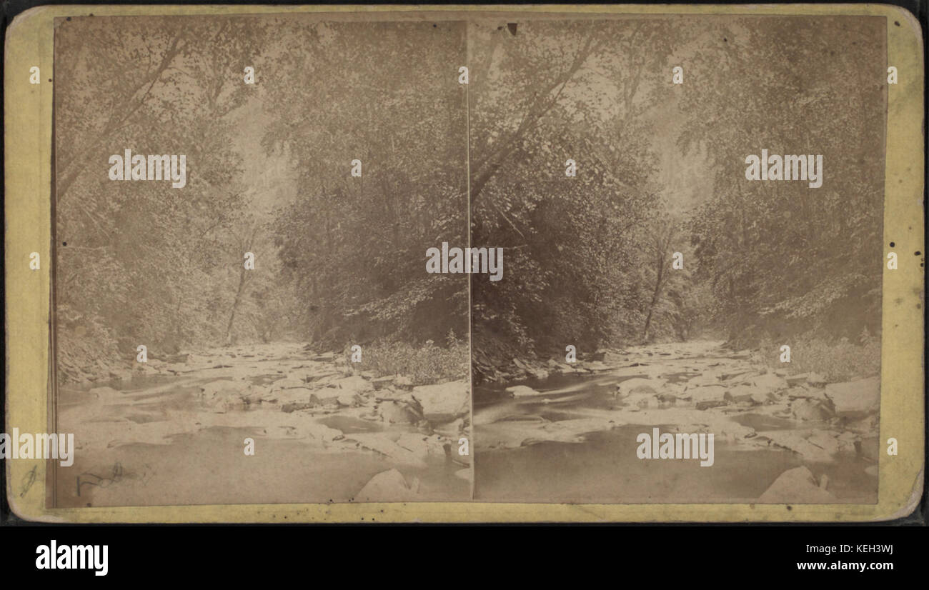 Looking down Lower Ravine, 2d view, by C. M. Marsh Stock Photo - Alamy