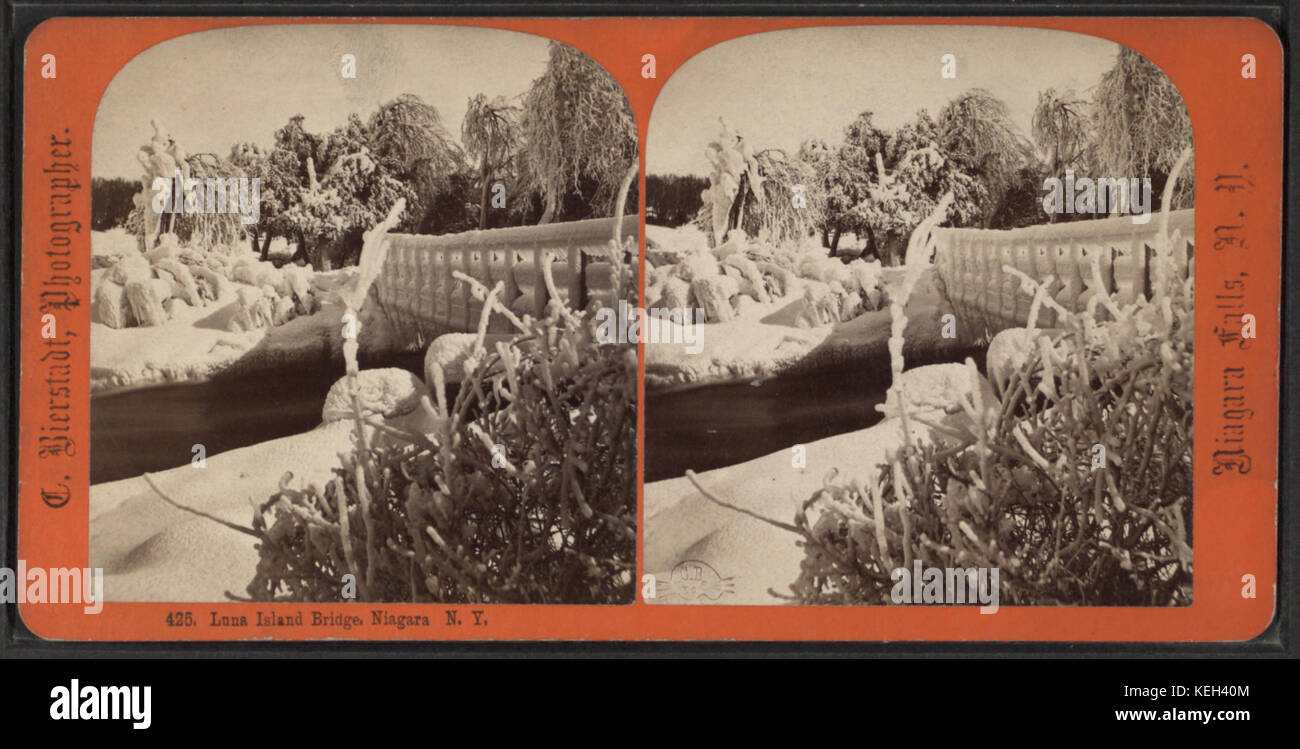 This stereoscopic view of the Luna Island Bridge at Niagara Falls ...