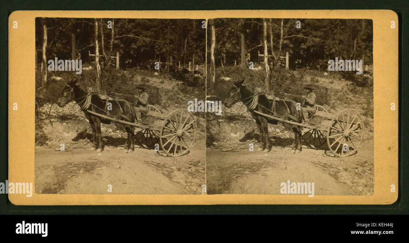 A portrait of Allen Roan, a notary public, captured by J. F. Kennedy ...
