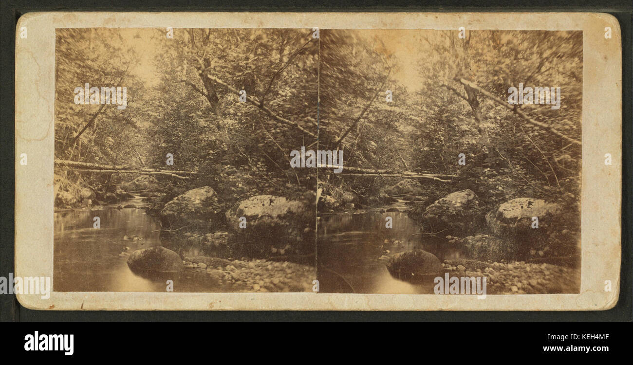 Mountain brook, by Hinds, A. L., fl. 1870 1879 2 Stock Photo - Alamy