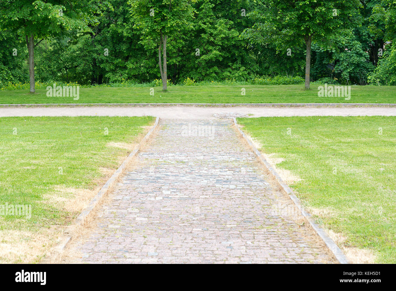 The trees along the path and lawn on a summer day Stock Photo - Alamy