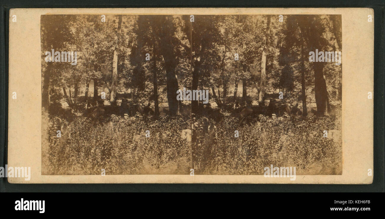 Camping scene on the Merced River, by E. & H.T. Anthony (Firm Stock ...