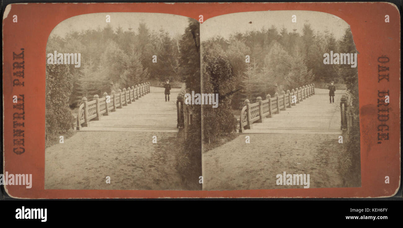 Central Park, Oak Bridge, by Chase, W. M. (William M.), ca. 1818 1901 6 ...