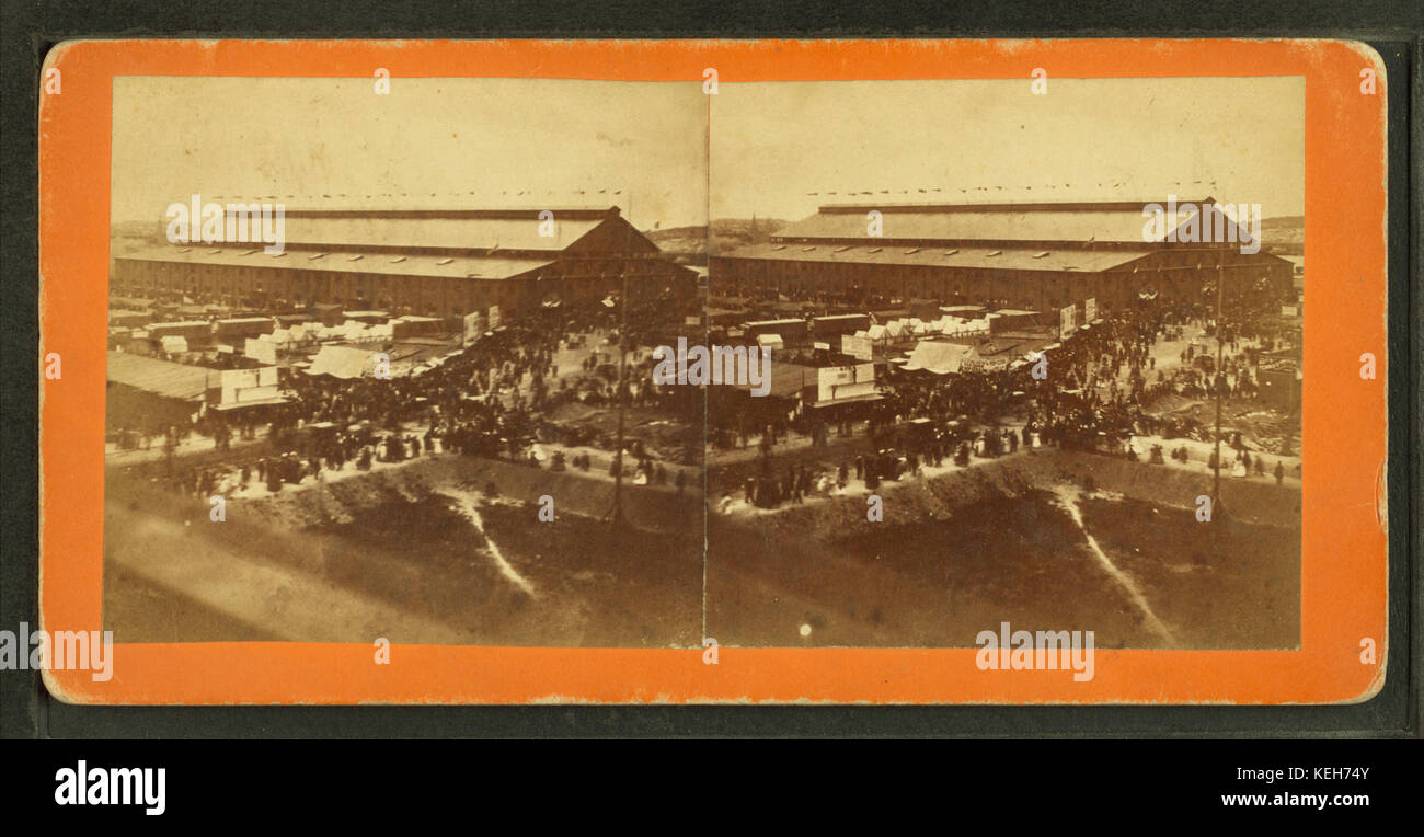 'Coliseum' by E. C. Swain is an artistic representation of the Roman ...