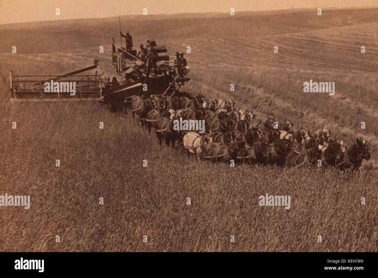 Old grain harvester hi-res stock photography and images - Alamy