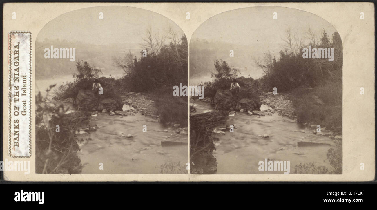 Banks of the Niagara, Goat Island, from Robert N. Dennis collection of ...