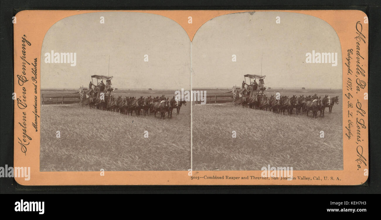 Combined reaper and thrasher, San Joaquin Valley, Cal., U.S.A, by ...