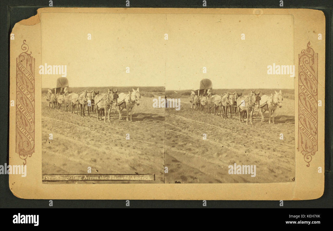 Emigrating to america hi-res stock photography and images - Alamy