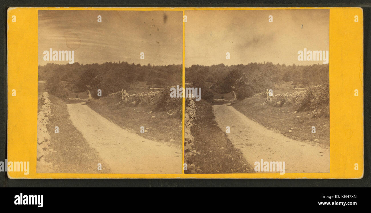 Bars on the right open to the east pasture. H. G. Tarwell, Mother's ...