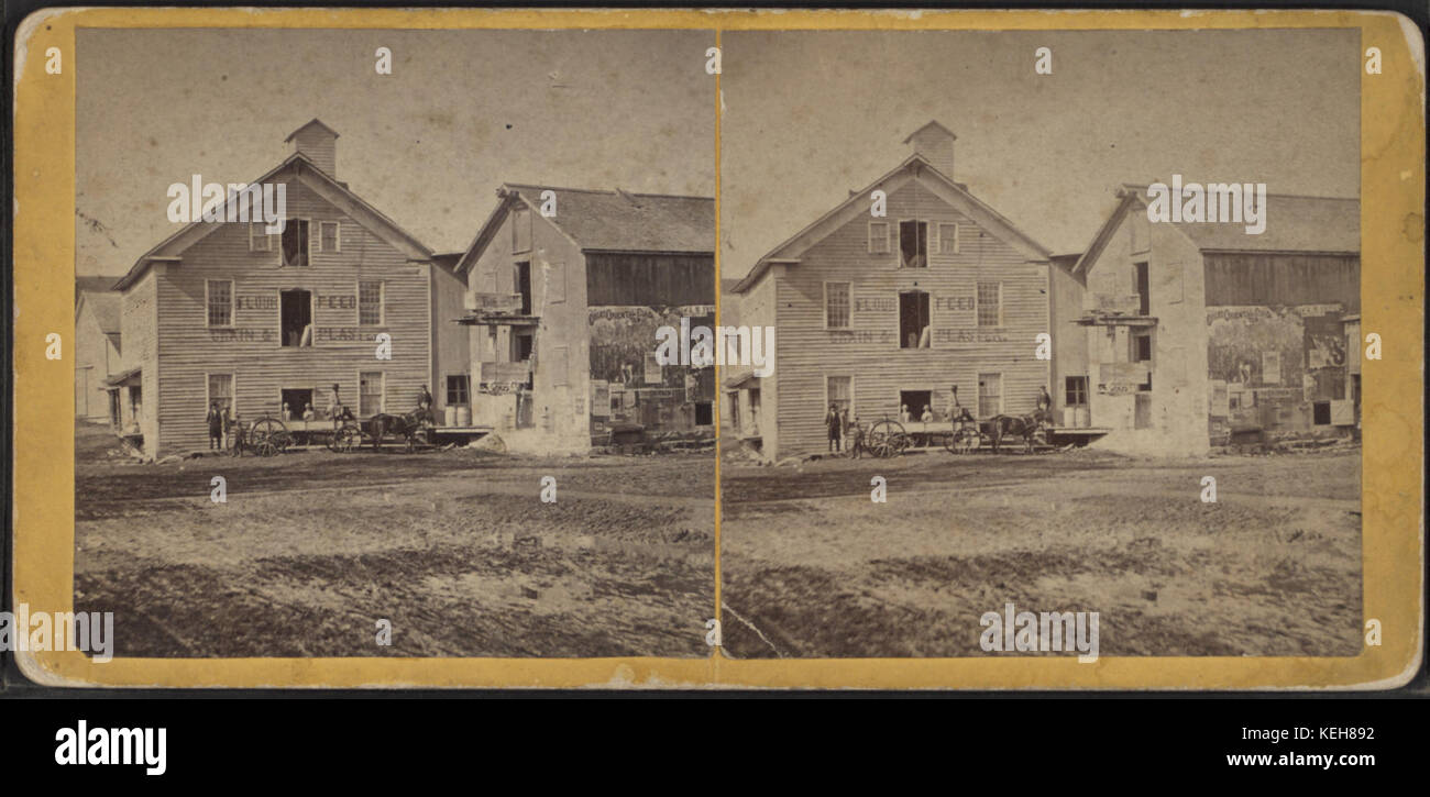 Flour, feed, grain and plaster (mill.), from Robert N. Dennis ...