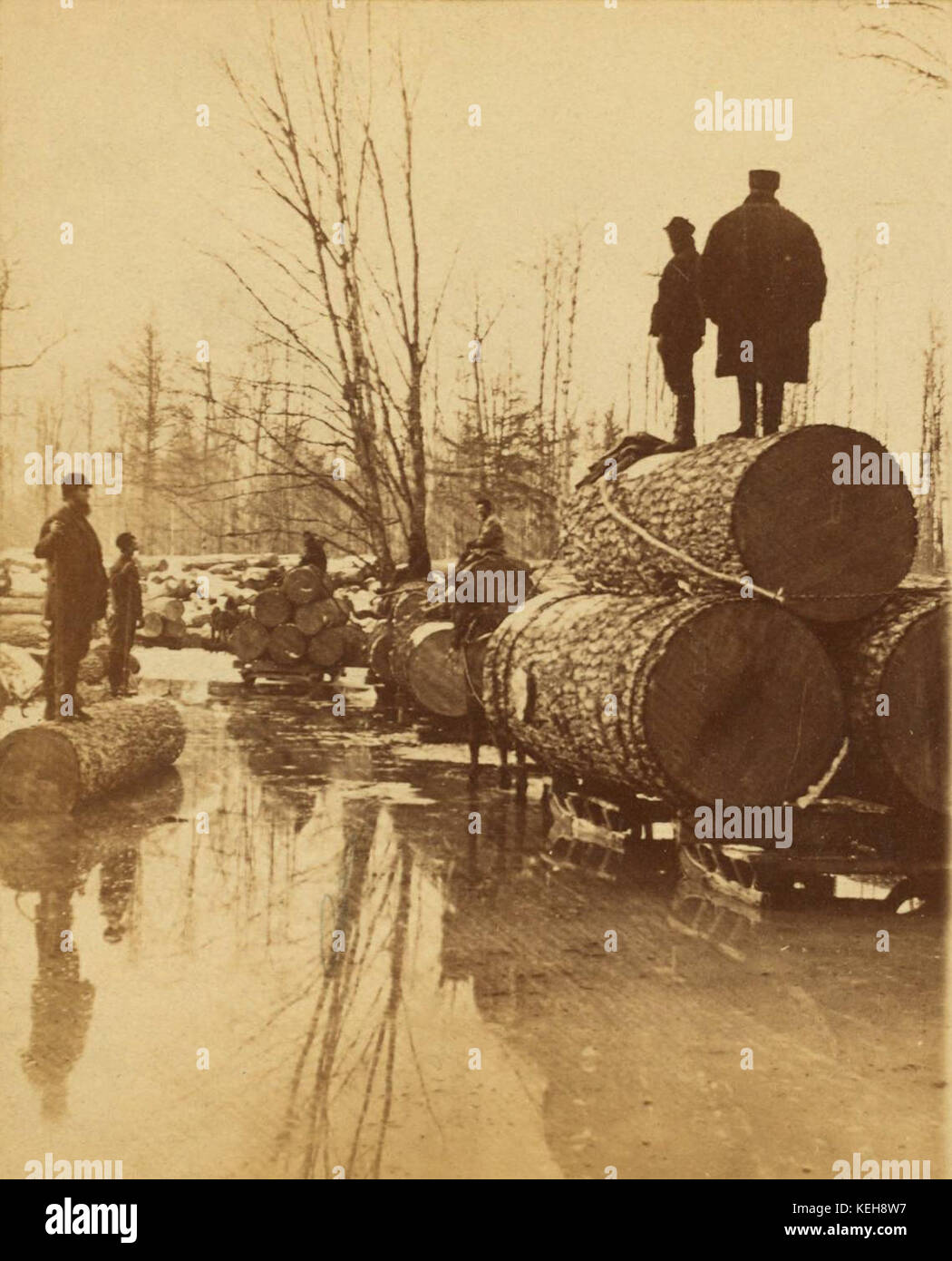 Hauling at Thomas Foster's, by Jenney, J A (detail Stock Photo - Alamy