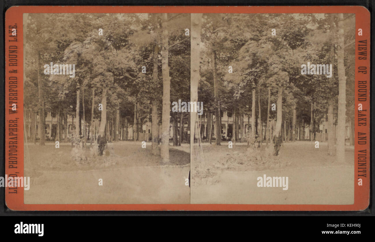 Grounds at Round Lake, by Lloyd (fl. 187 ) 2 Stock Photo - Alamy