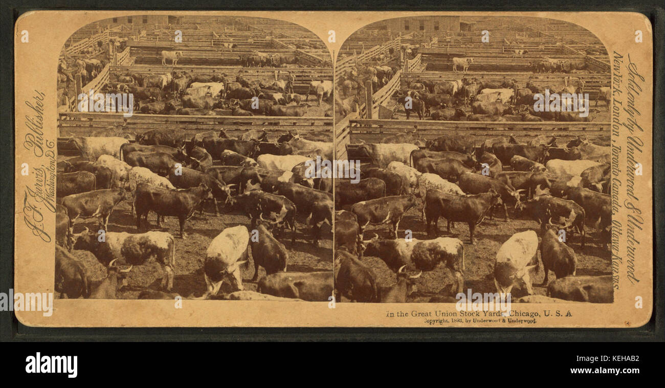 Chicago stockyards hi-res stock photography and images - Alamy