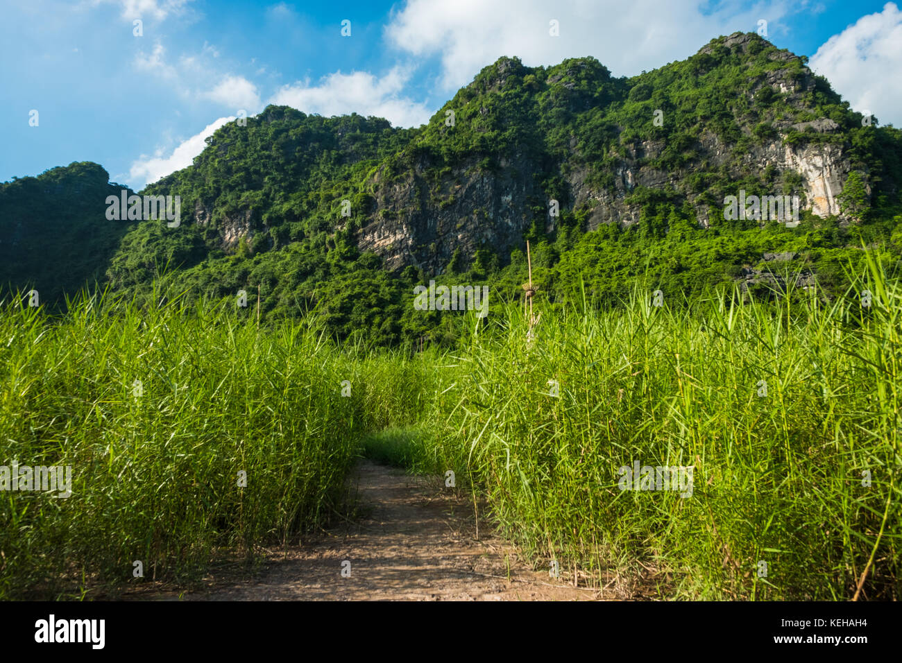 Landscape with dirt soil pathway and mountain Stock Photo - Alamy