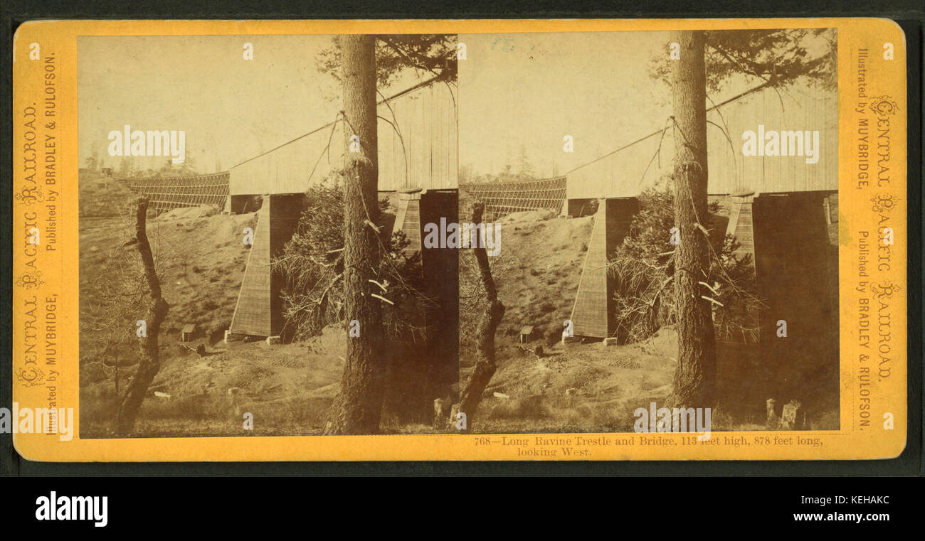 This photograph by Eadweard Muybridge shows a long ravine trestle and ...