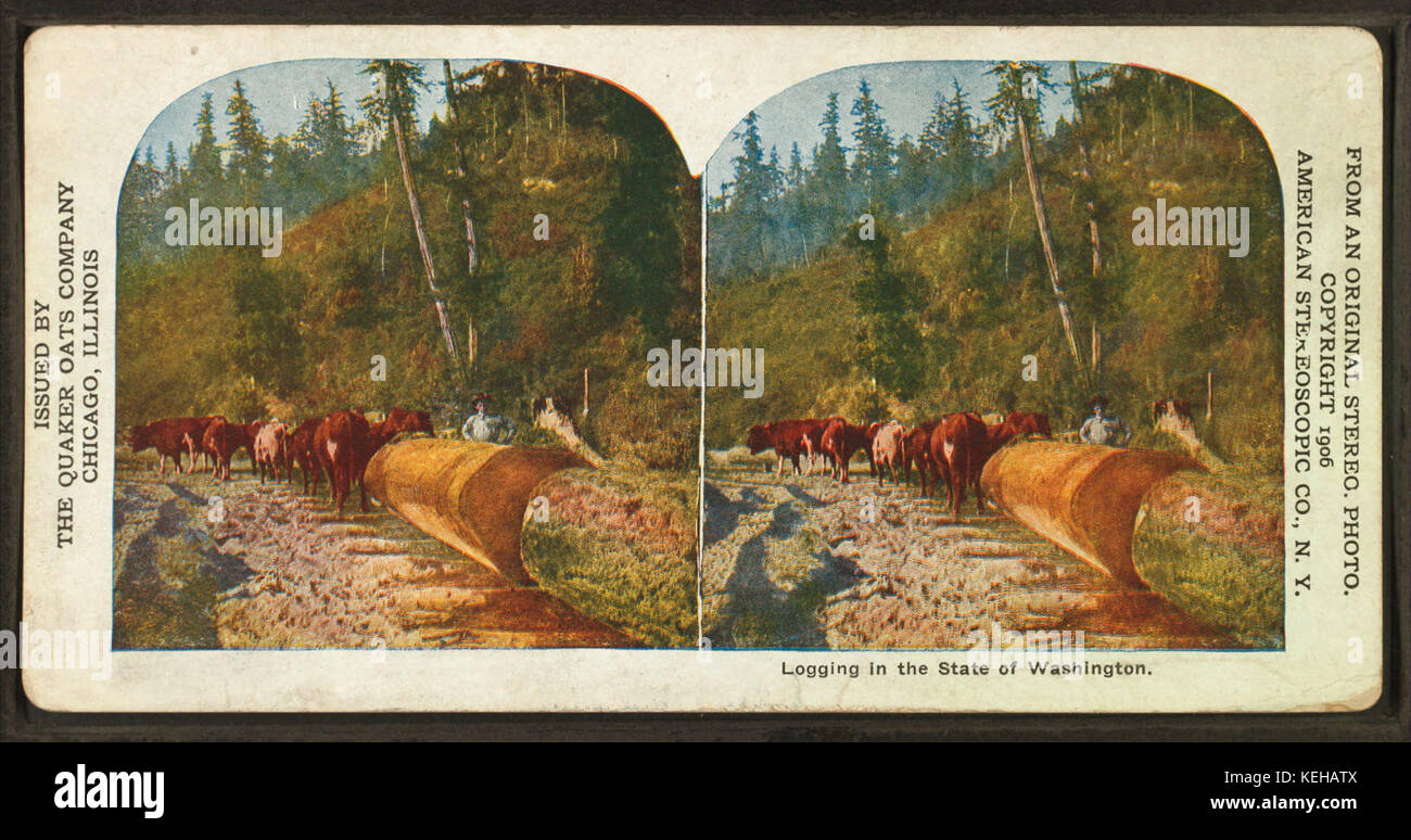 Logging In Washington State Stock Photos & Logging In Washington State ...