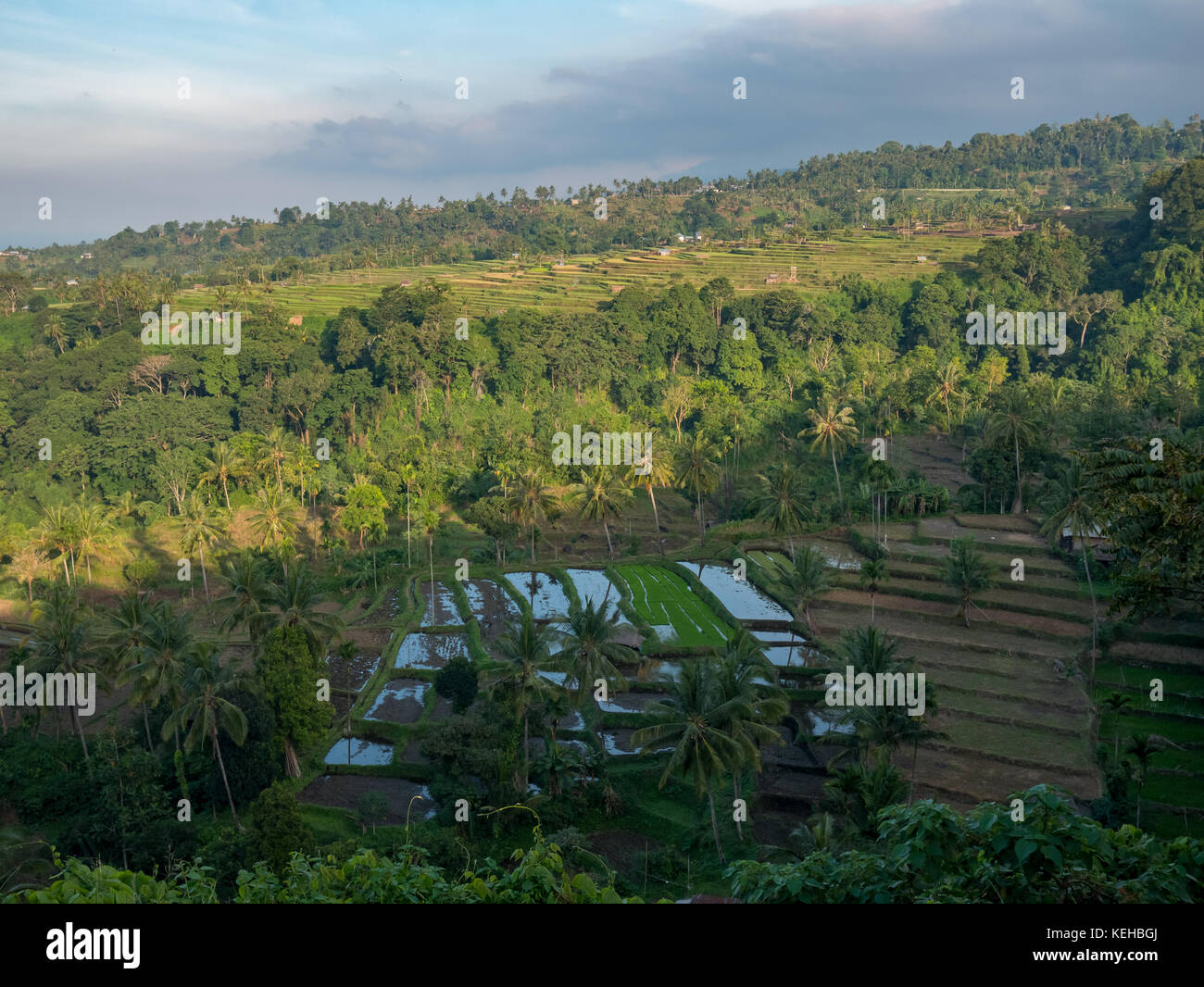 Rice fields near Senaru and Rinjani,Lombok island, Indonesia, Asia ...