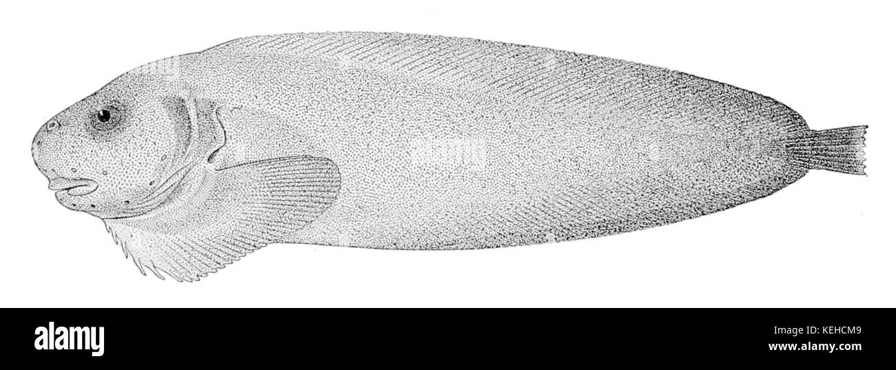 Cold north sea in Black and White Stock Photos & Images - Alamy