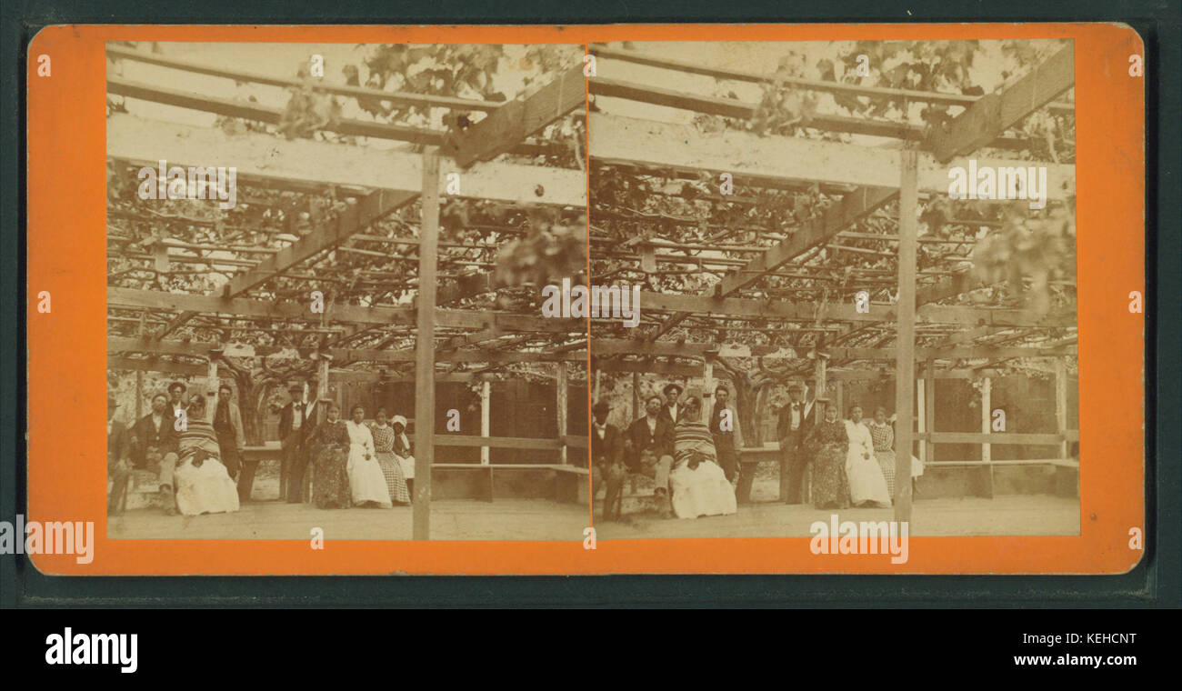 Robert vine photography hi-res stock photography and images - Alamy