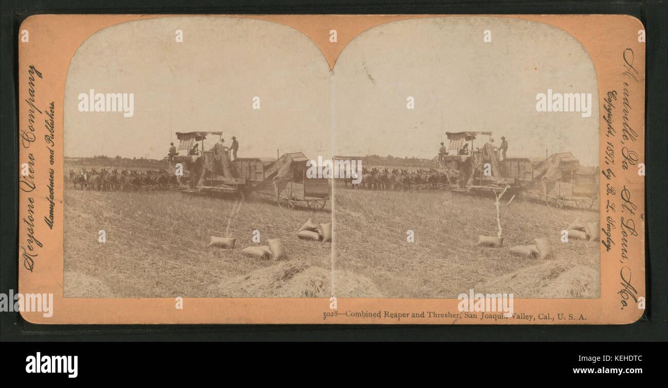 Combined reaper and thrasher, San Joaquin Valley, Cal., U.S.A, from ...