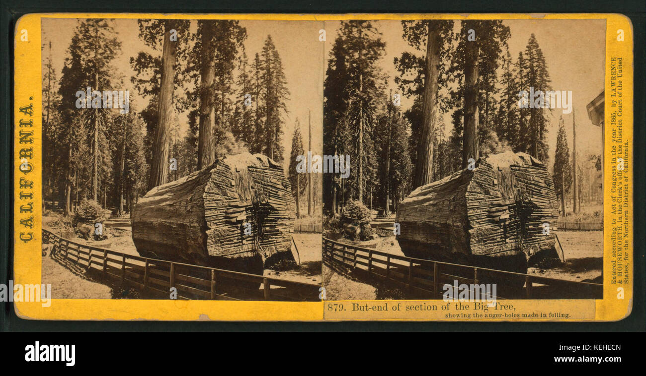 19th century logging hi-res stock photography and images - Alamy