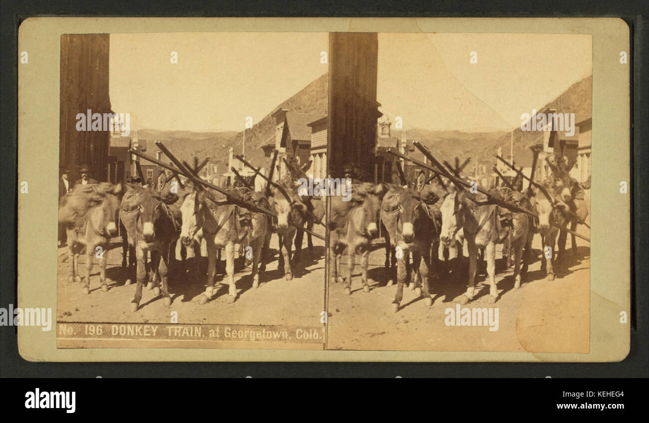 A photograph of a donkey train at Georgetown, Colorado, taken by ...