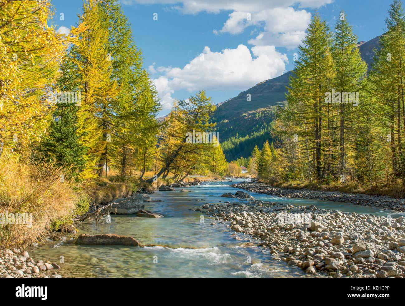 Mountain river and trees in autumn Stock Photo - Alamy