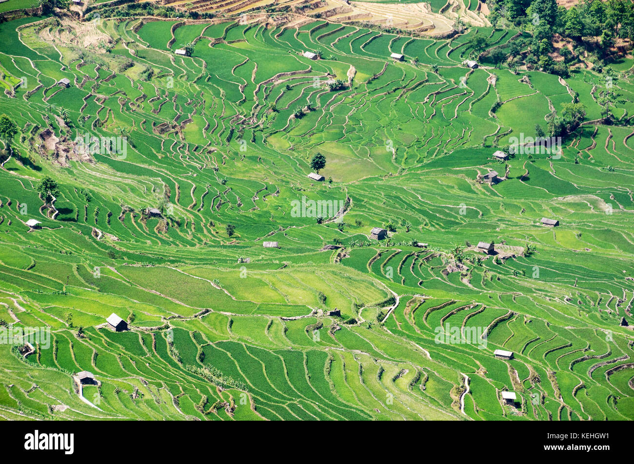 China yuanyang yunnan yunnan minority hi-res stock photography and ...